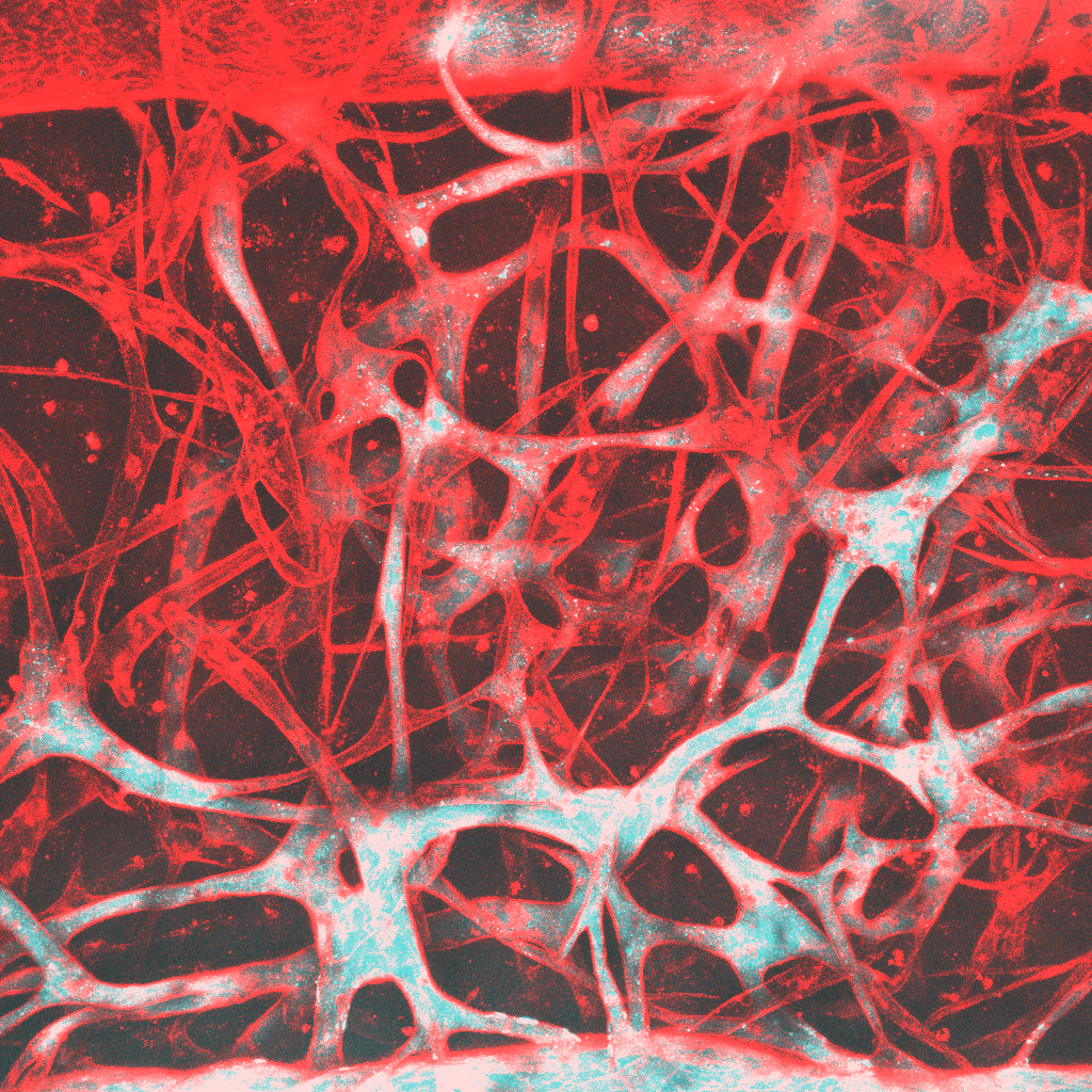 Research – Ngo Lab – Engineering Tissues by Controlling Cell-Cell ...